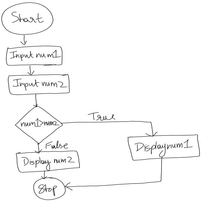 Project Labeling Object Detection Dataset By Test