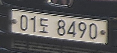 numplate_segmentation Instance Segmentation Dataset and Pre-Trained Model by Car plate