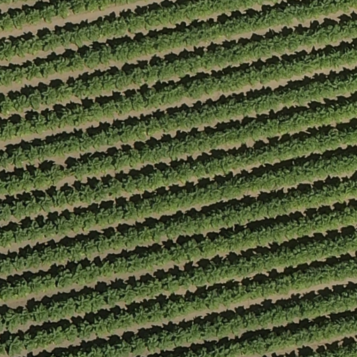 Crop Segmentation Instance Segmentation Model by Ryan