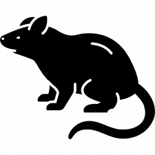 rats Object Detection Dataset and Pre-Trained Model by rafavaa