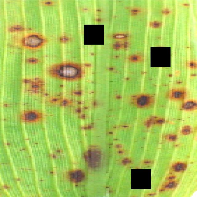 Mix Dataset Object Detection Dataset By Priatama