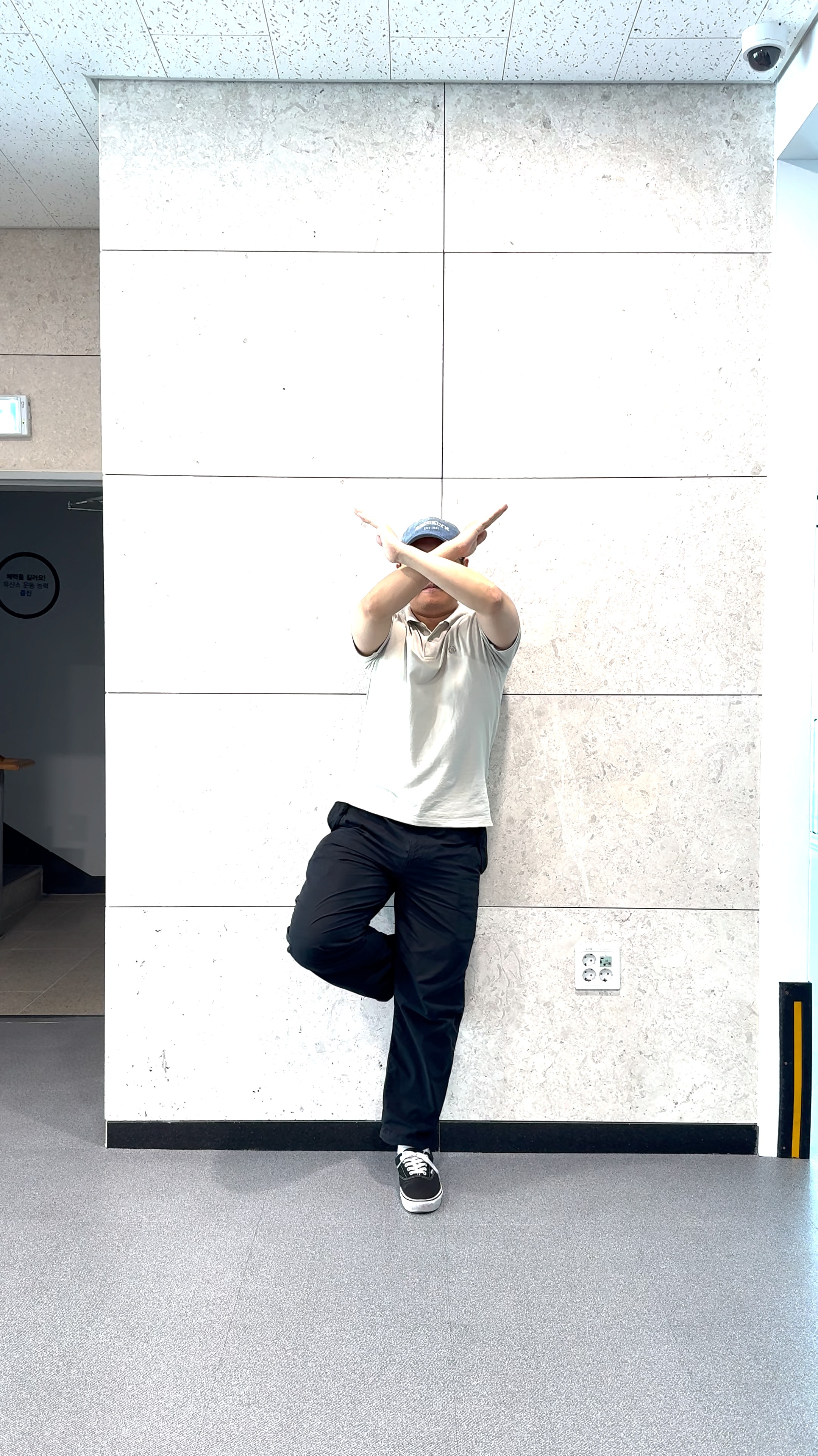 pose Object Detection Dataset by tokei