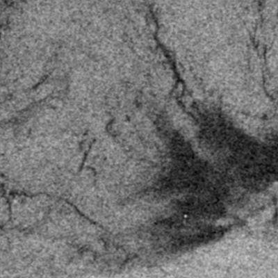 CSIRO oil-spill classification Classification Model by YoloV8