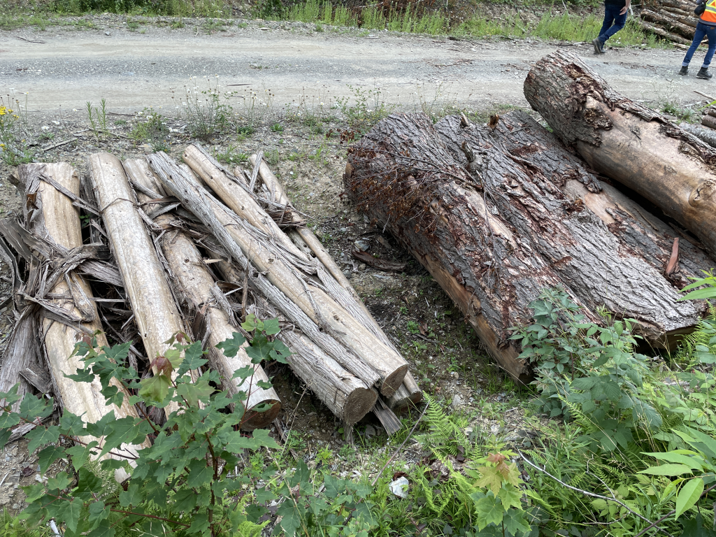 t Object Detection Model (v1, 2023-02-18 12:32pm) by Prachi Panchal