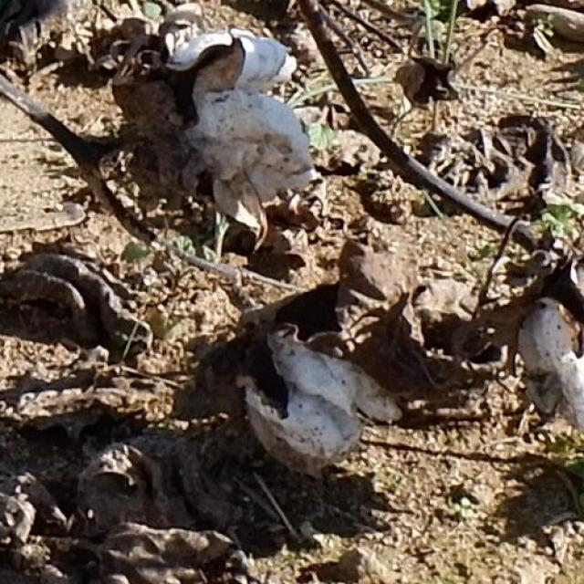 Project-1 Instance Segmentation Dataset by Project