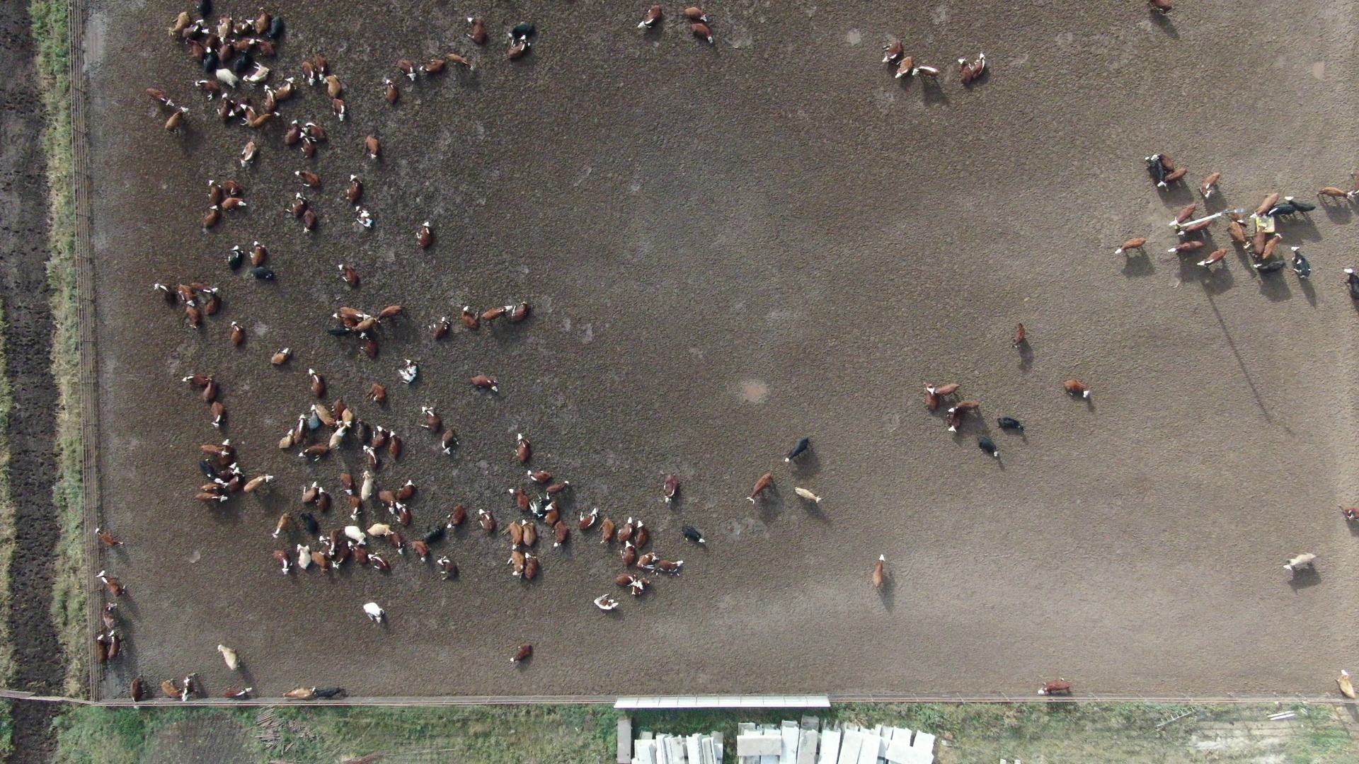 Corral_detection Instance Segmentation Dataset by Public workspace