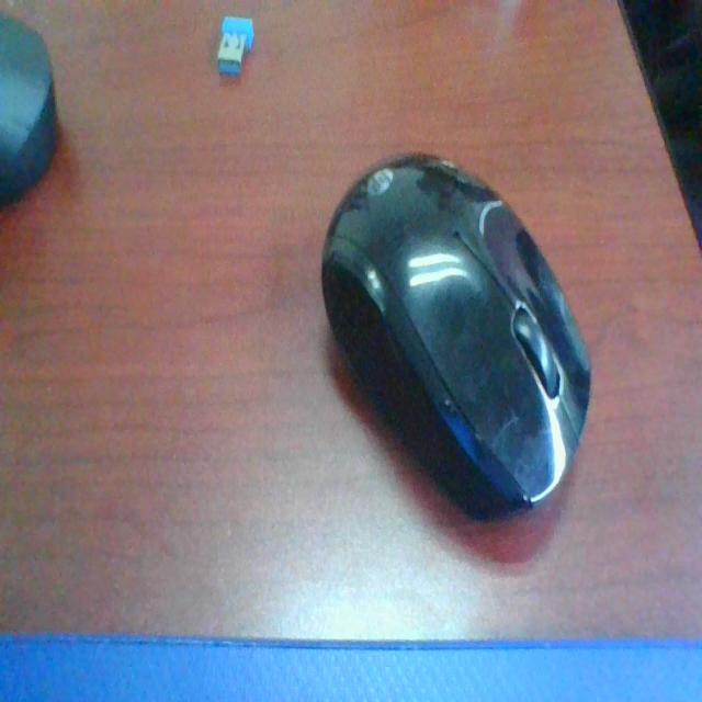 Mouse detection model Object Detection Dataset and Pre-Trained Model by Mustang