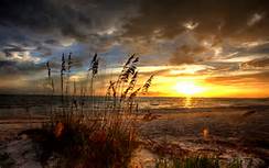 weather Classification Dataset by microrare