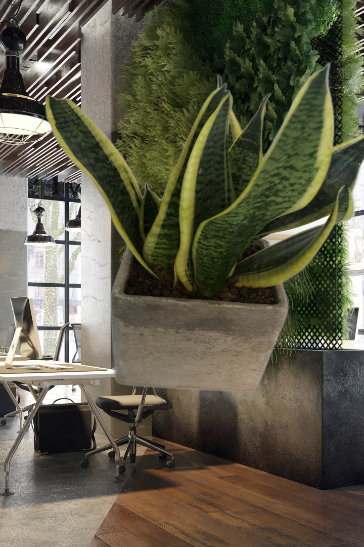 plantfinder Object Detection Dataset by inbaiml