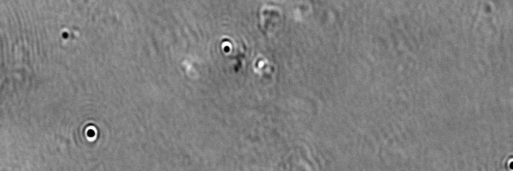 iscat rectangular frames large and small particles Object Detection Dataset by Protein iSCAT