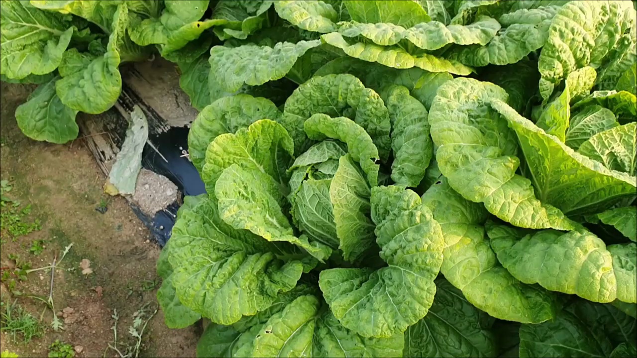 KBdetectionv2 Object Detection Dataset by project-dtf3e