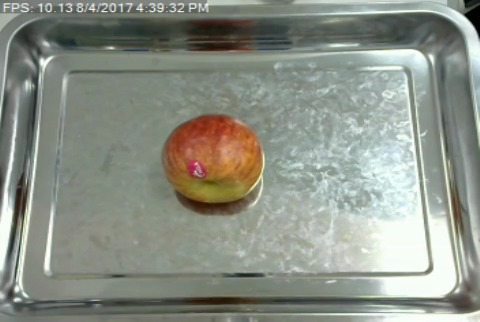 apple Object Detection Dataset by project-dtf3e