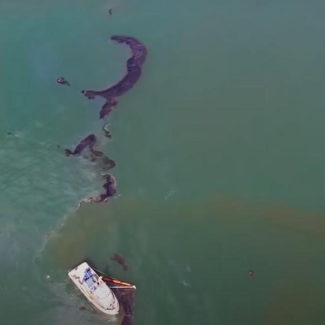 Oil Spill Object Detection Model By Project 8hfcw