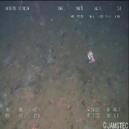 waste detection model Object Detection Dataset and Pre-Trained Model by University of Central Asia