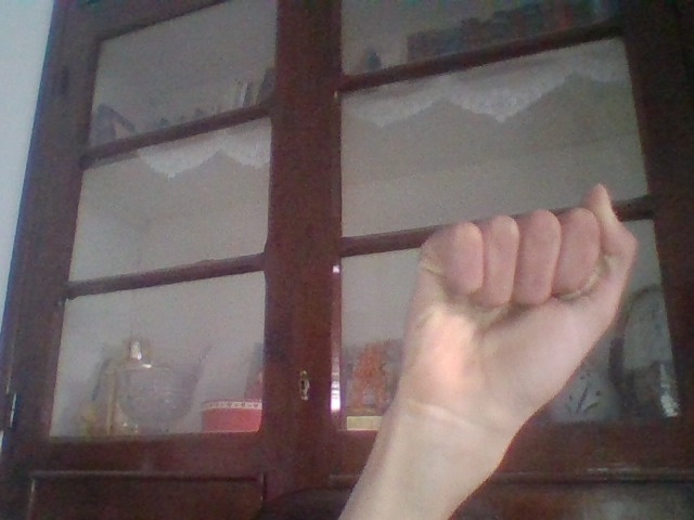 Hand Sign Detection V2 Object Detection Dataset By Ahmed Guedouar