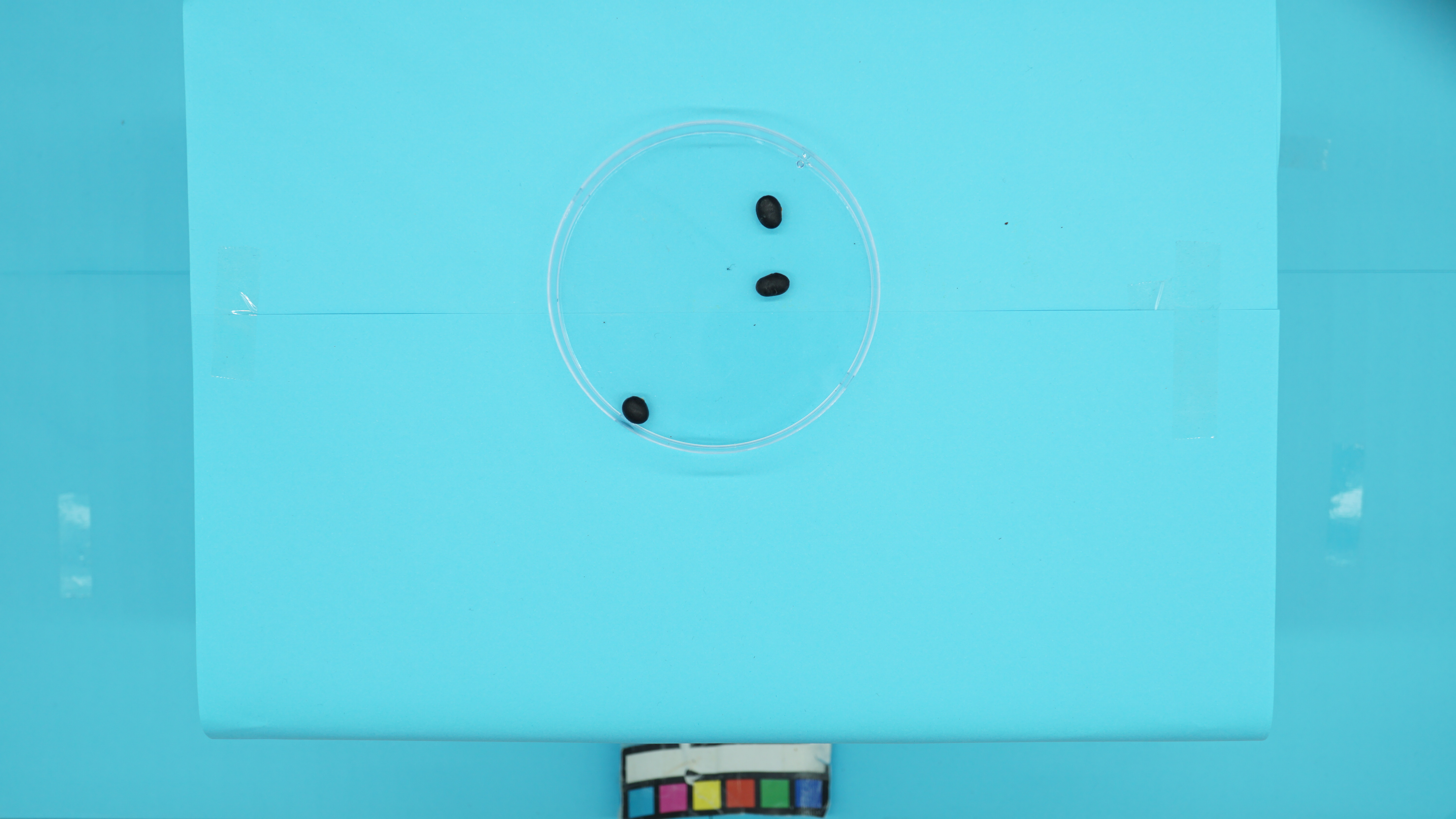4조 Instance Segmentaition Instance Segmentation Dataset By Project Sifyf