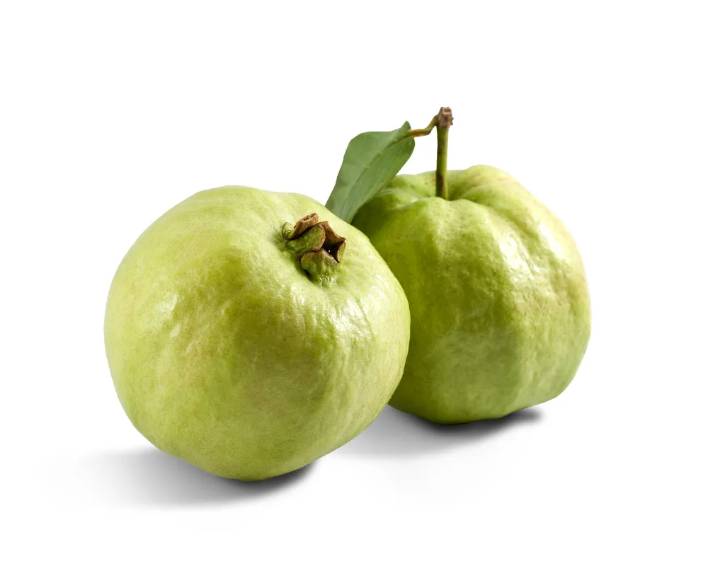 waste classification Object Detection Model by Kittithad