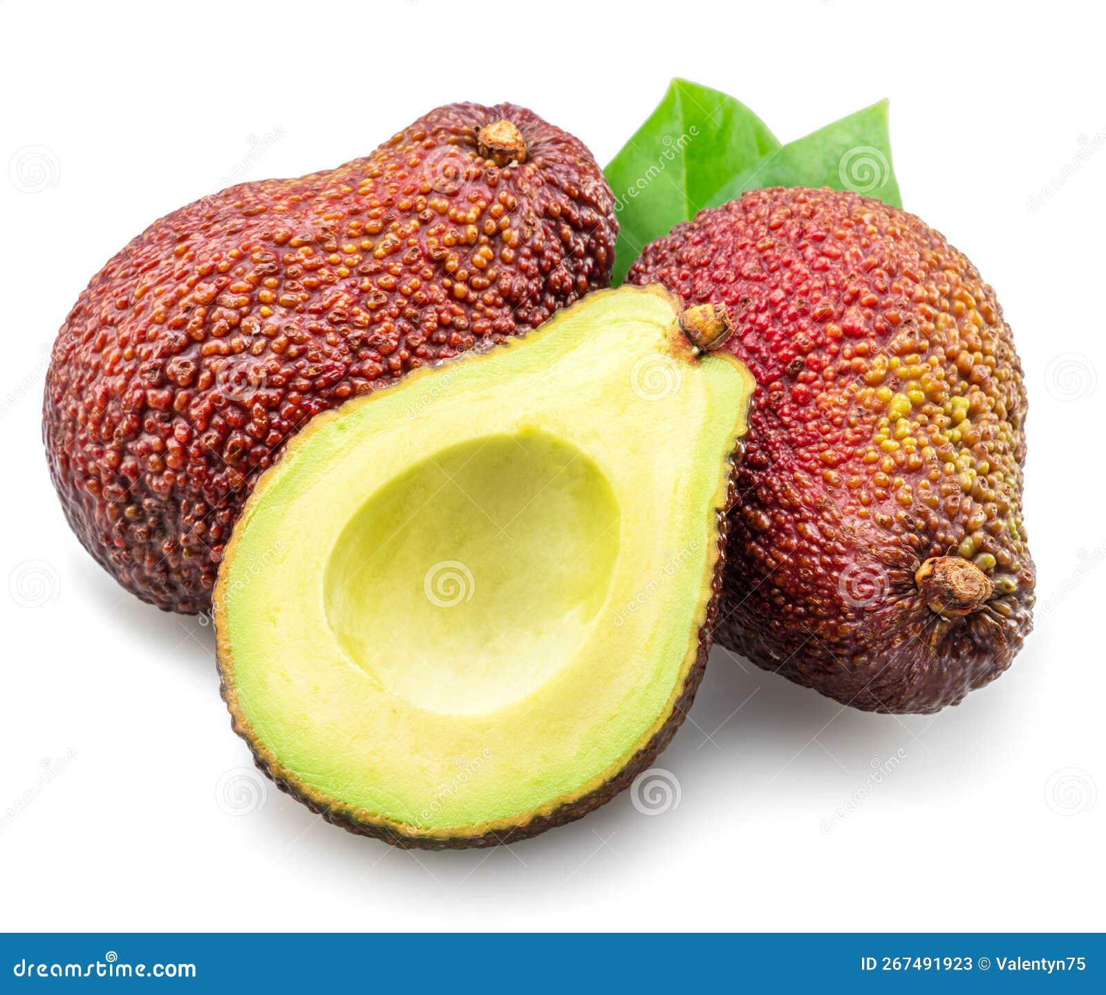 avocado Object Detection Model by YAIInternsproject