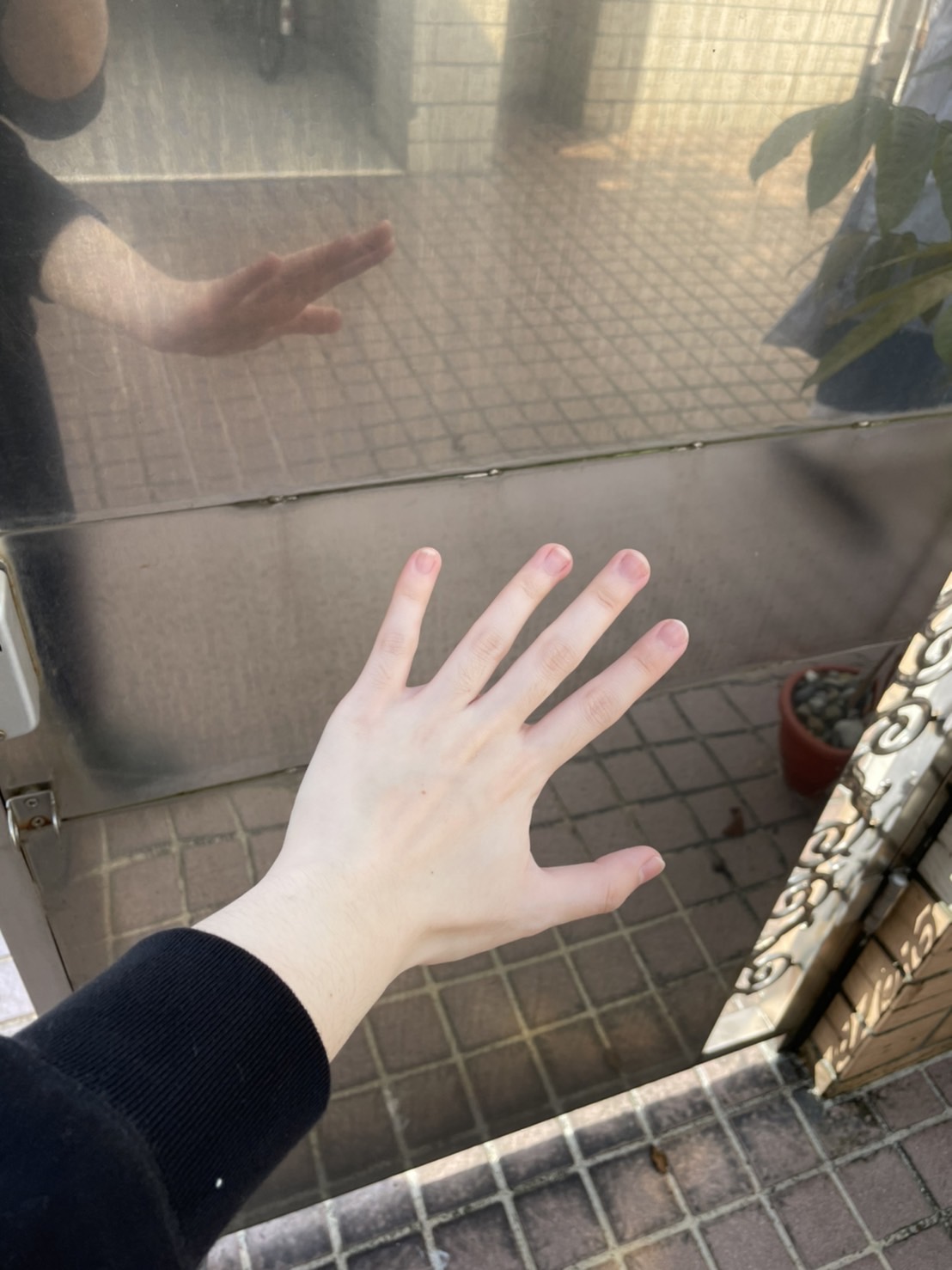 glove Object Detection Dataset by glove