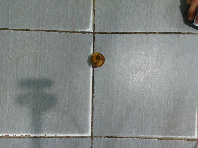 Fruits Object Detection Dataset And Pre Trained Model By Fruits