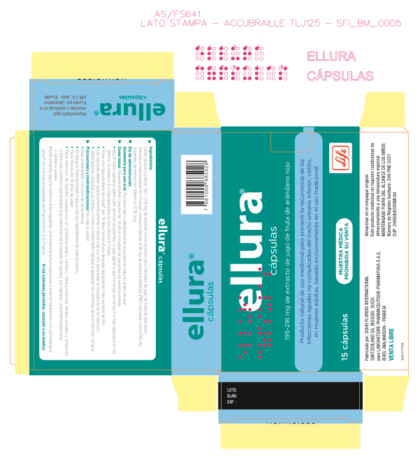 braille Object Detection Model by test1