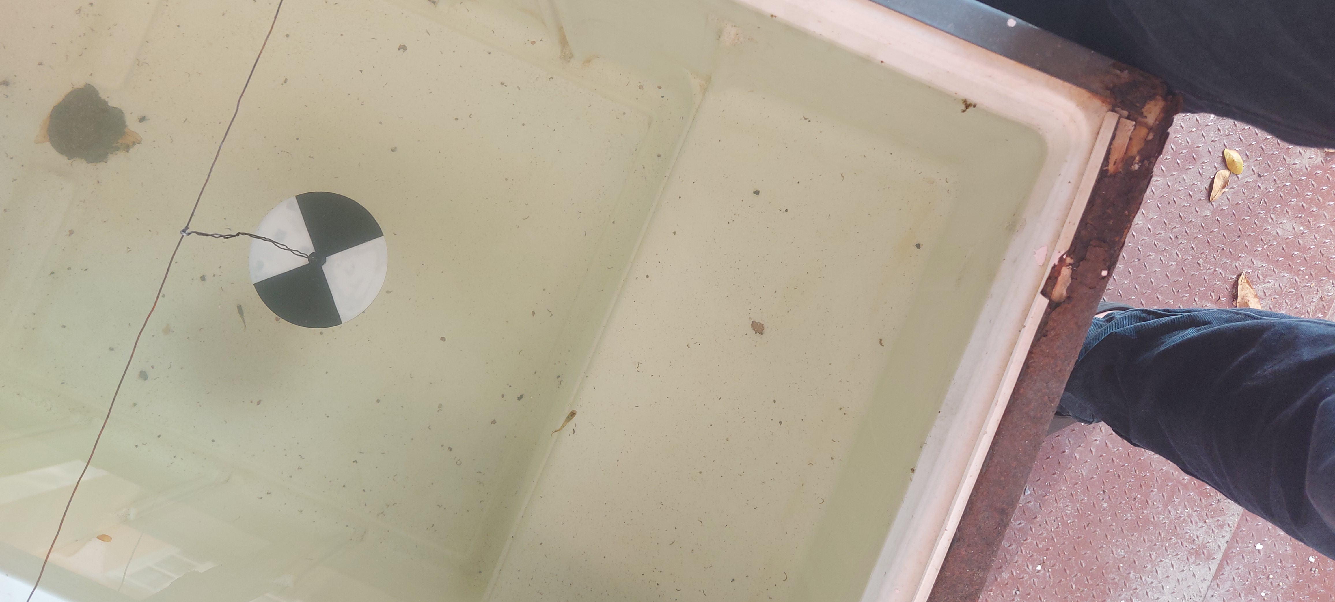 Algae Detection Object Detection Dataset And Pre Trained Model By Parkvisn