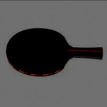 Table tennis racket Object Detection Dataset by pingpang