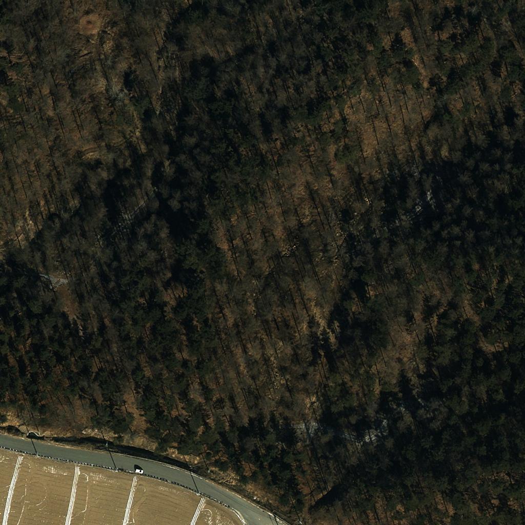 Road segmentation Semantic Segmentation Dataset and Pre-Trained Model by SANRIMCHEONG