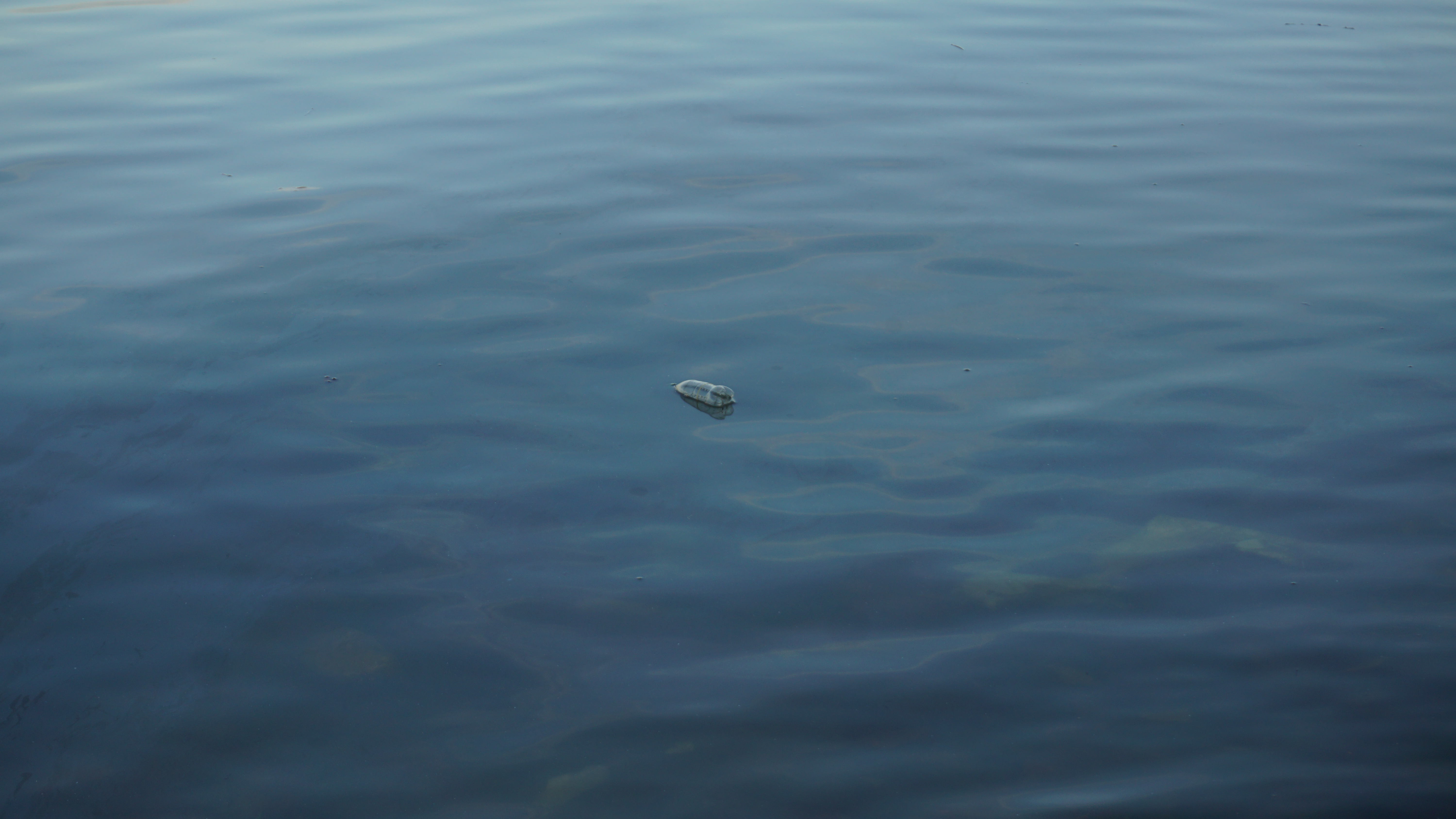 Klasifikasi Sampah Plastik Yolo 900 Object Detection Dataset V1 2024