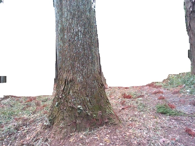 forest obstacle masked image Object Detection Dataset by project-mrvr7