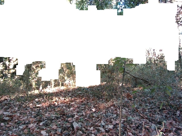 forest obstacle masked test Object Detection Dataset by project-mrvr7