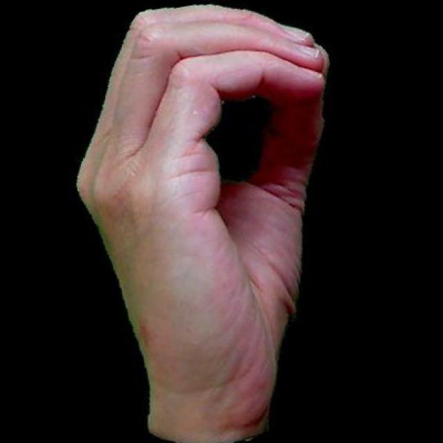 sign_lang_yolo-v8 Object Detection Dataset by mknd