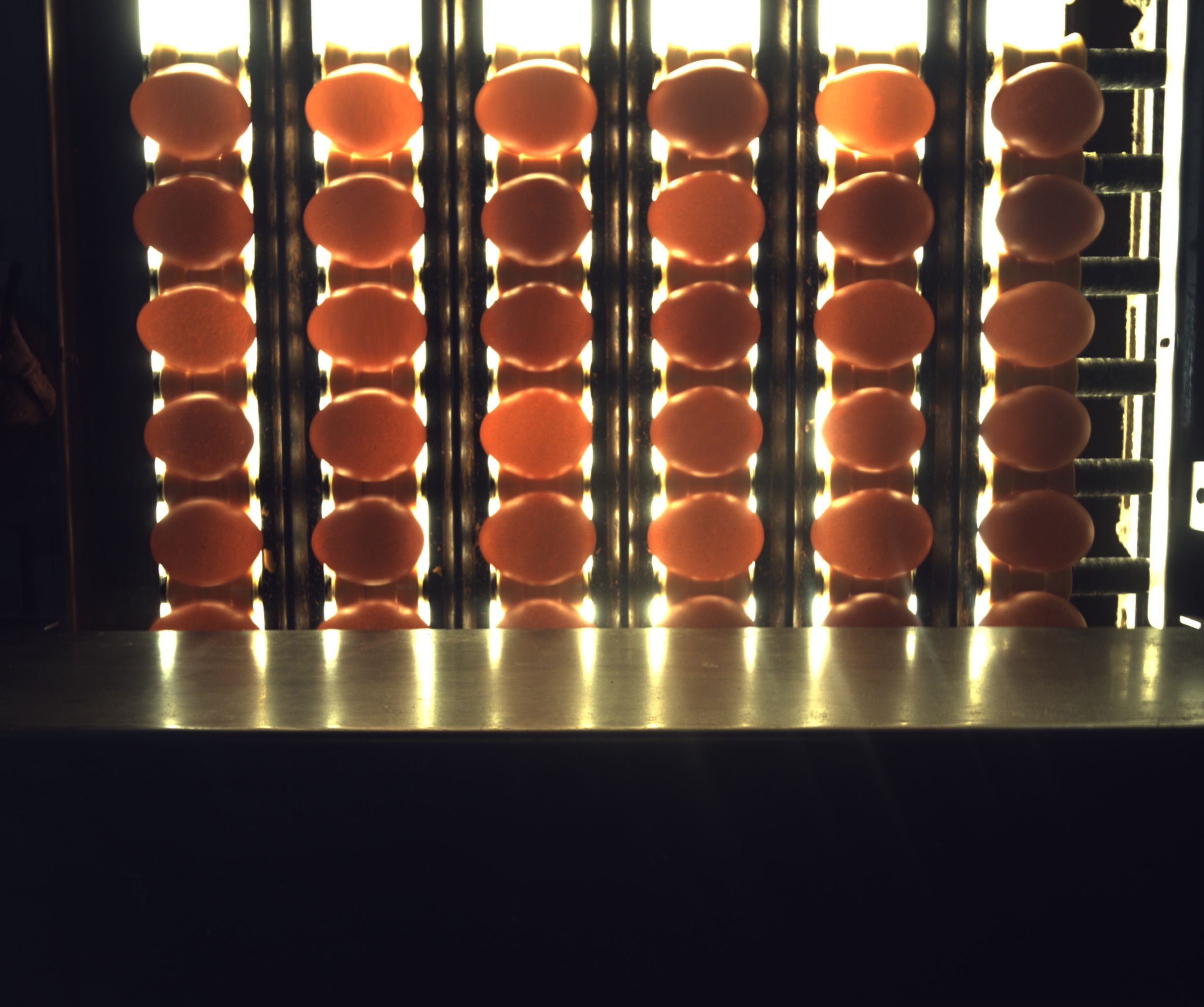 Egg_ry_detect Object Detection Model by my project