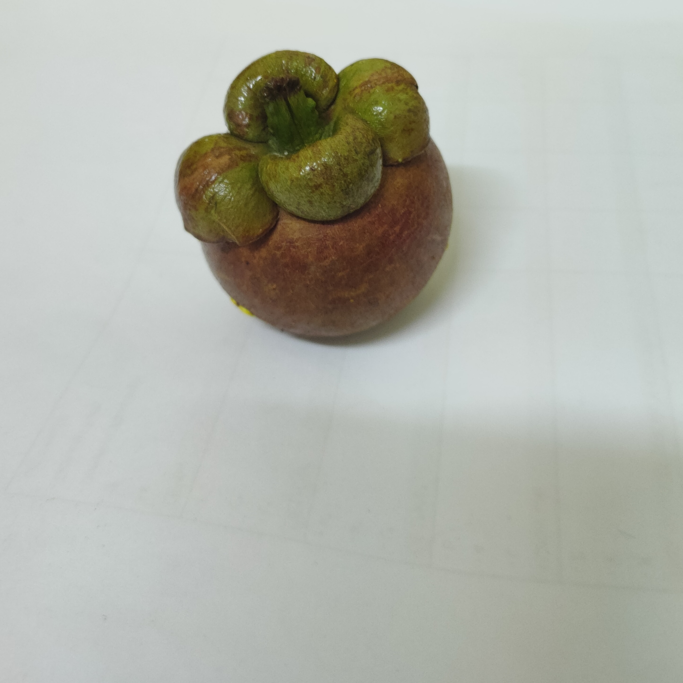 Aging Object Detection Dataset And Pre Trained Model By Kmitl