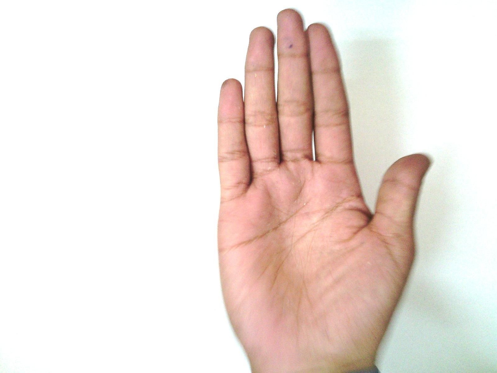 hand Object Detection Dataset and Pre-Trained Model by Minal