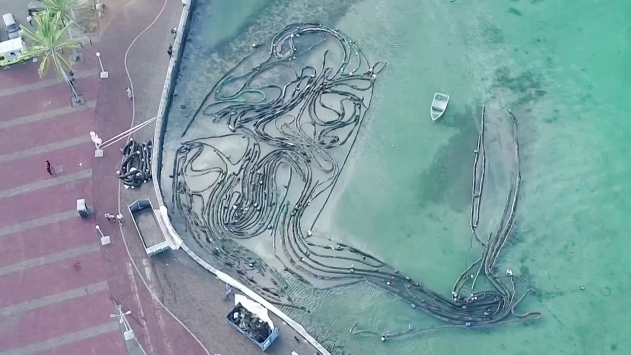 oil22 Classification Dataset by uav