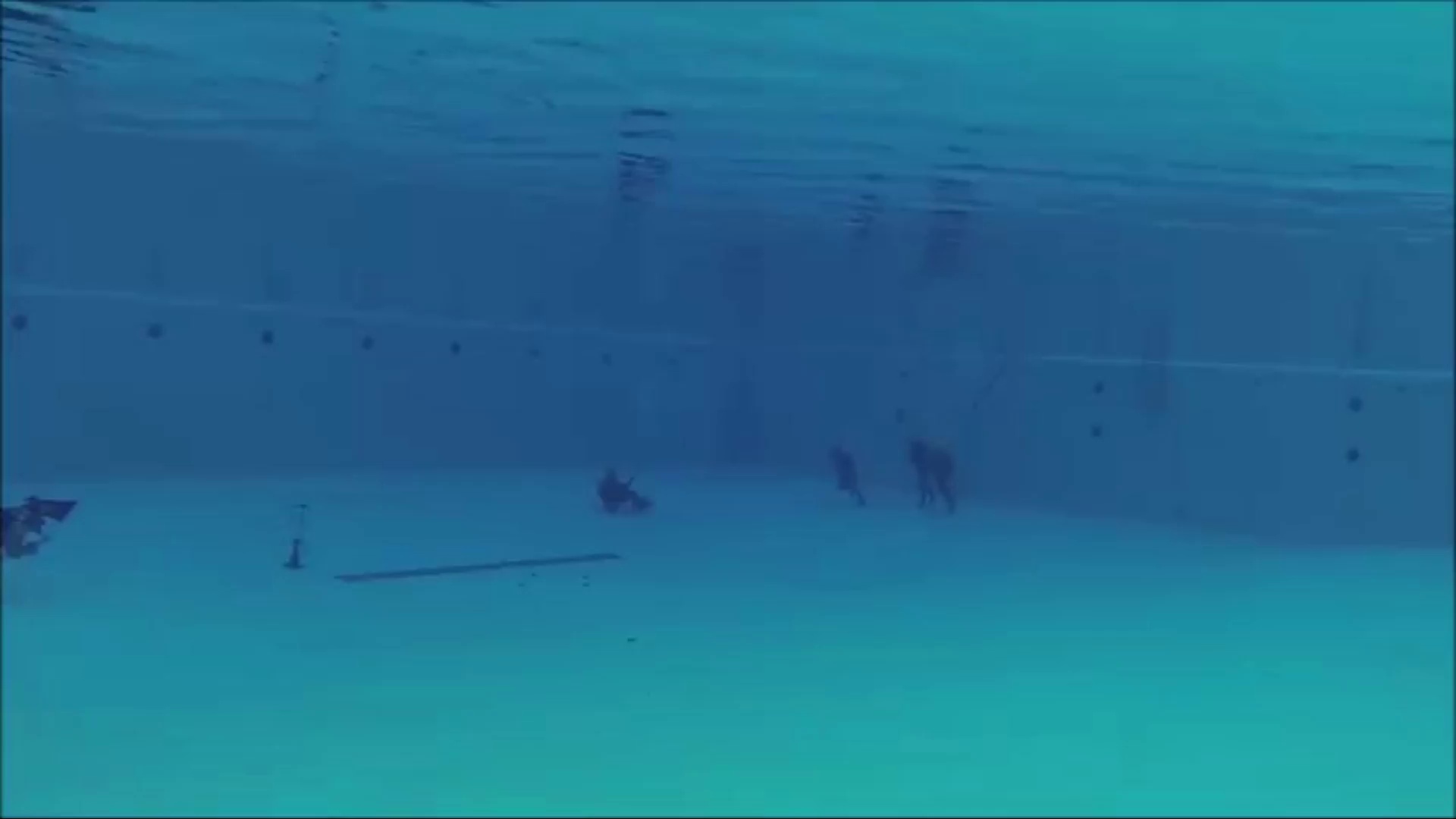 Sea Creatures detection Object Detection Dataset and Pre-Trained Model by Robert Lois D Omega