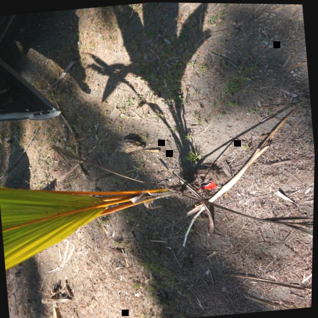 Garbage Detection Object Detection Dataset And Pre Trained Model By Garbagedetection