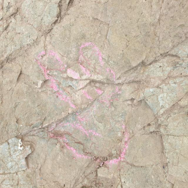 YOLO-seg Instance Segmentation Dataset by amrws