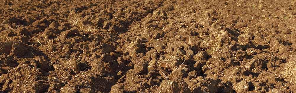 Soil project Classification Model by project