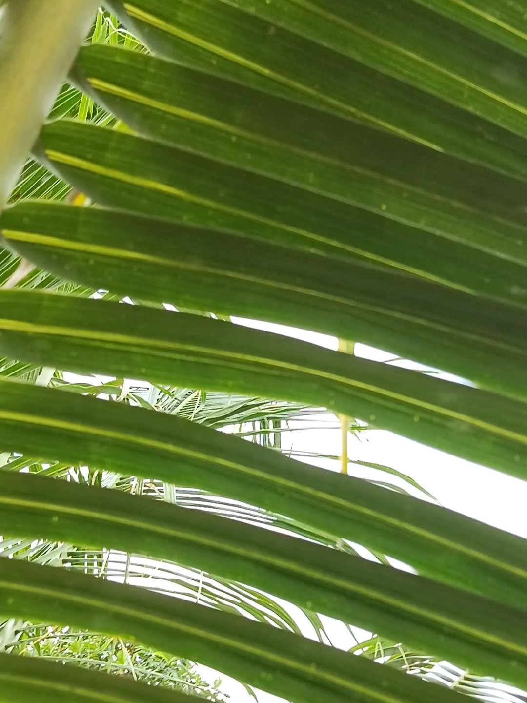 Identify Object Detection Dataset By Data Annotation