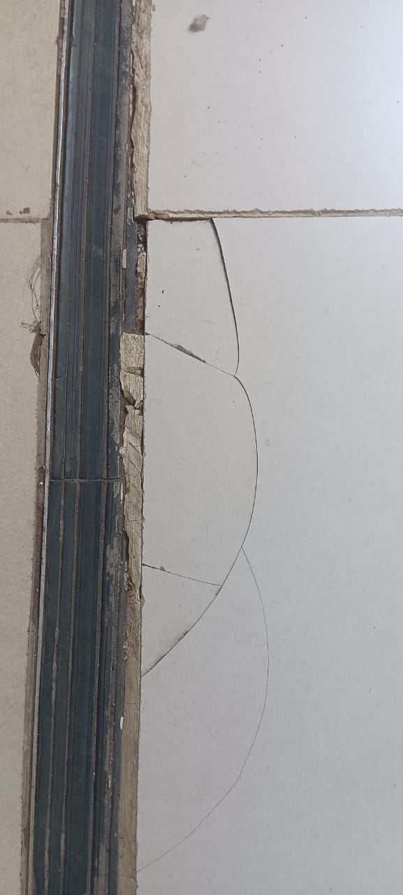 My First Project Object Detection Model by fracture detection