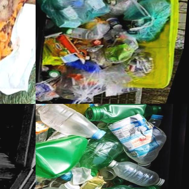 MergedNewPaper Instance Segmentation Dataset and Pre-Trained Model by Hariss Workspace