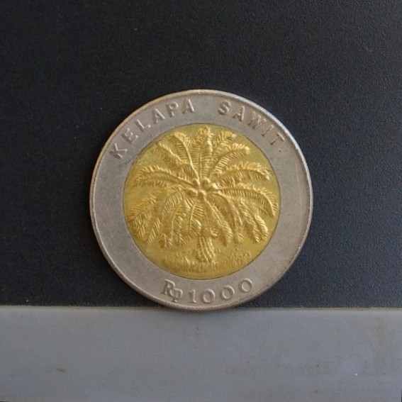 Coin Detector Object Detection Model By A1