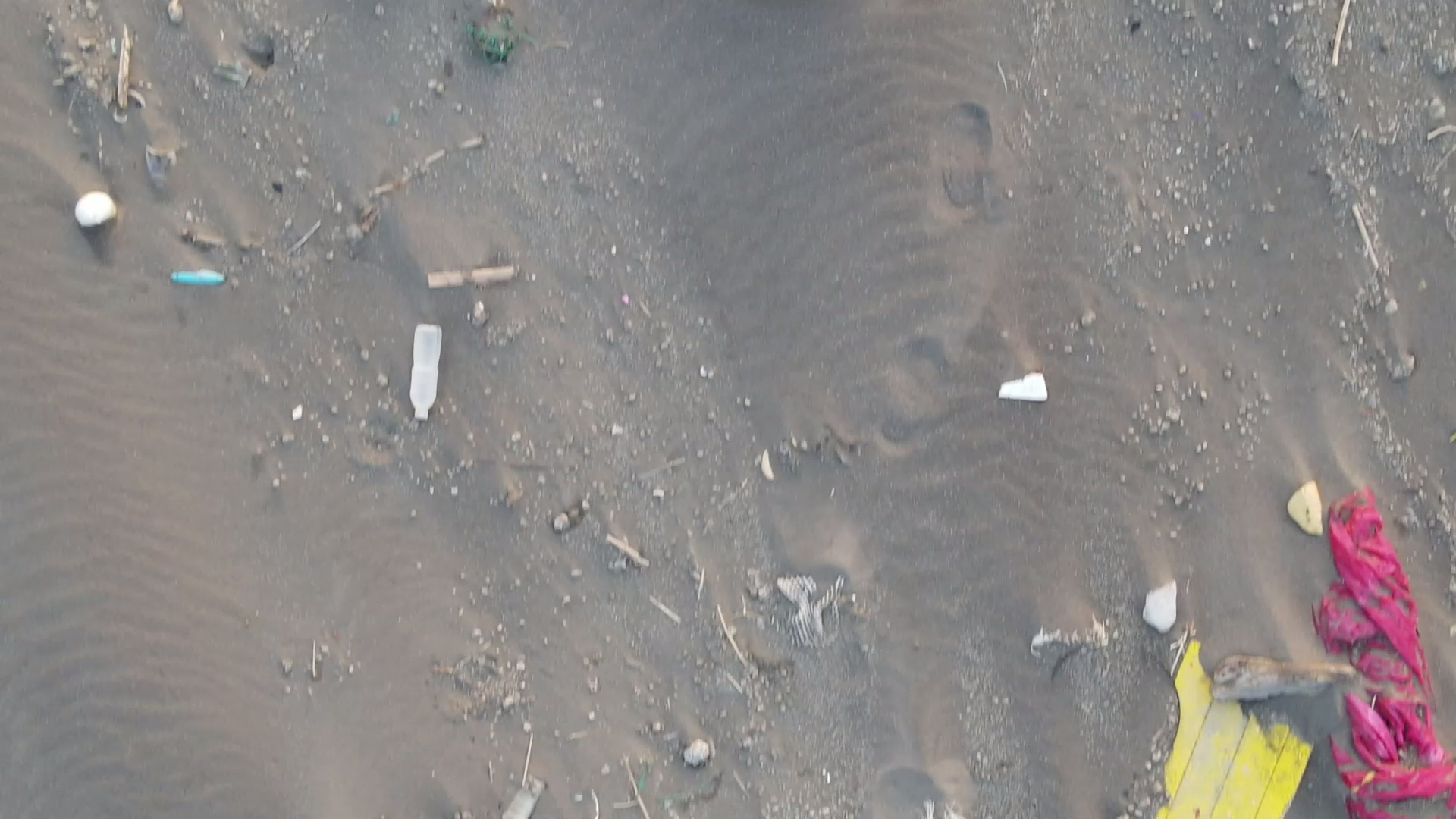 Ocean AID Eagle Object Detection Dataset by oceanaid