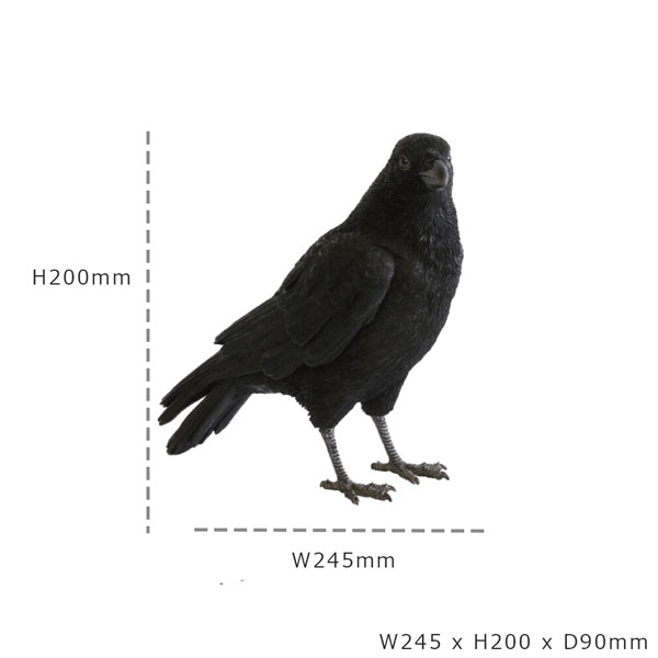 Crow Dataset Object Detection Model By Car Detection