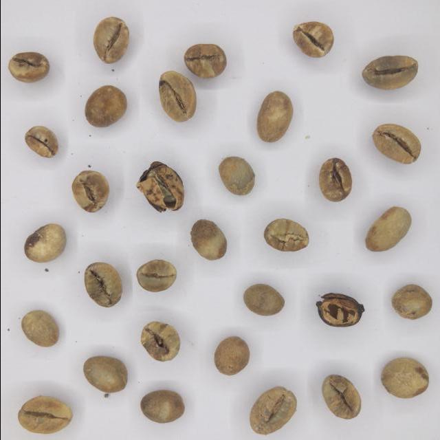 YOLO SKRIPSI Object Detection Dataset and Pre-Trained Model by adrianworkspace