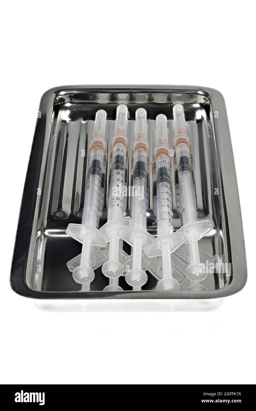 vials-counting Object Detection Model by project