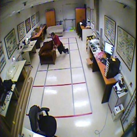 How to Use the human fall Object Detection API