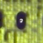 bump,mark Instance Segmentation Dataset and Pre-Trained Model by ...